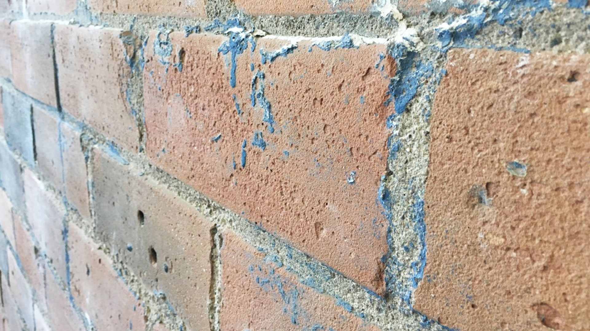 Building the Base - Evergreen Media